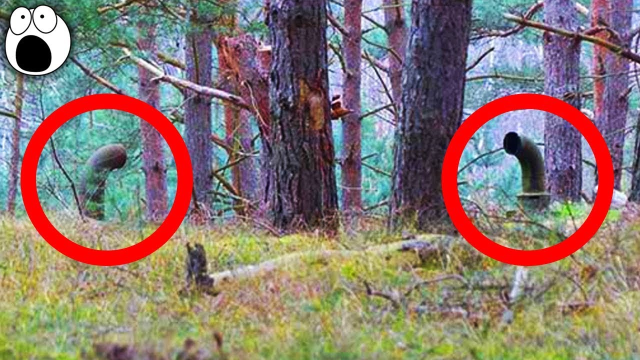 Top 10 Strangest Things Found In The Middle Of Nowhere Closed 