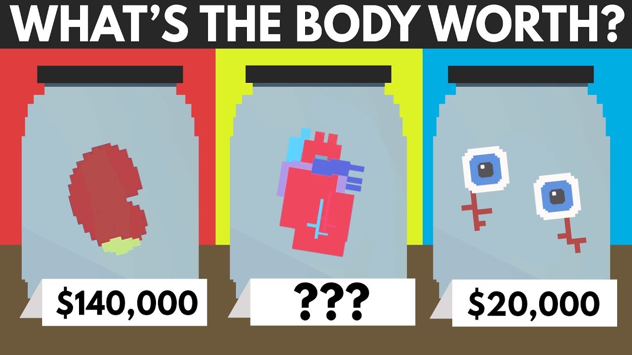 How Much Is The Human Body Worth Closed Captions By CCTubes How Much Is The Human Body Worth Closed Captions By CCTubes